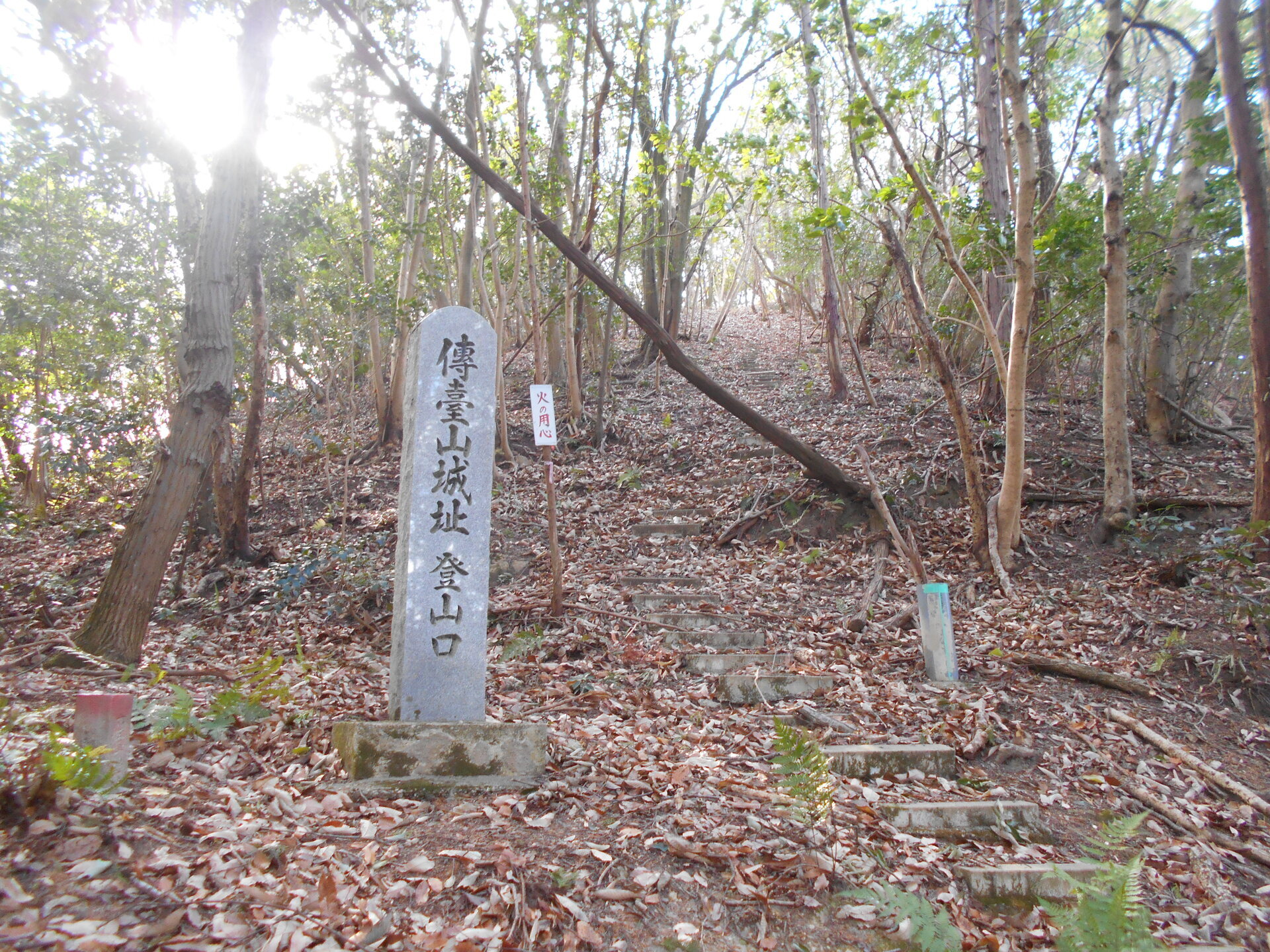 1月28日伝台山から碇岩北山: つぐ丸日記