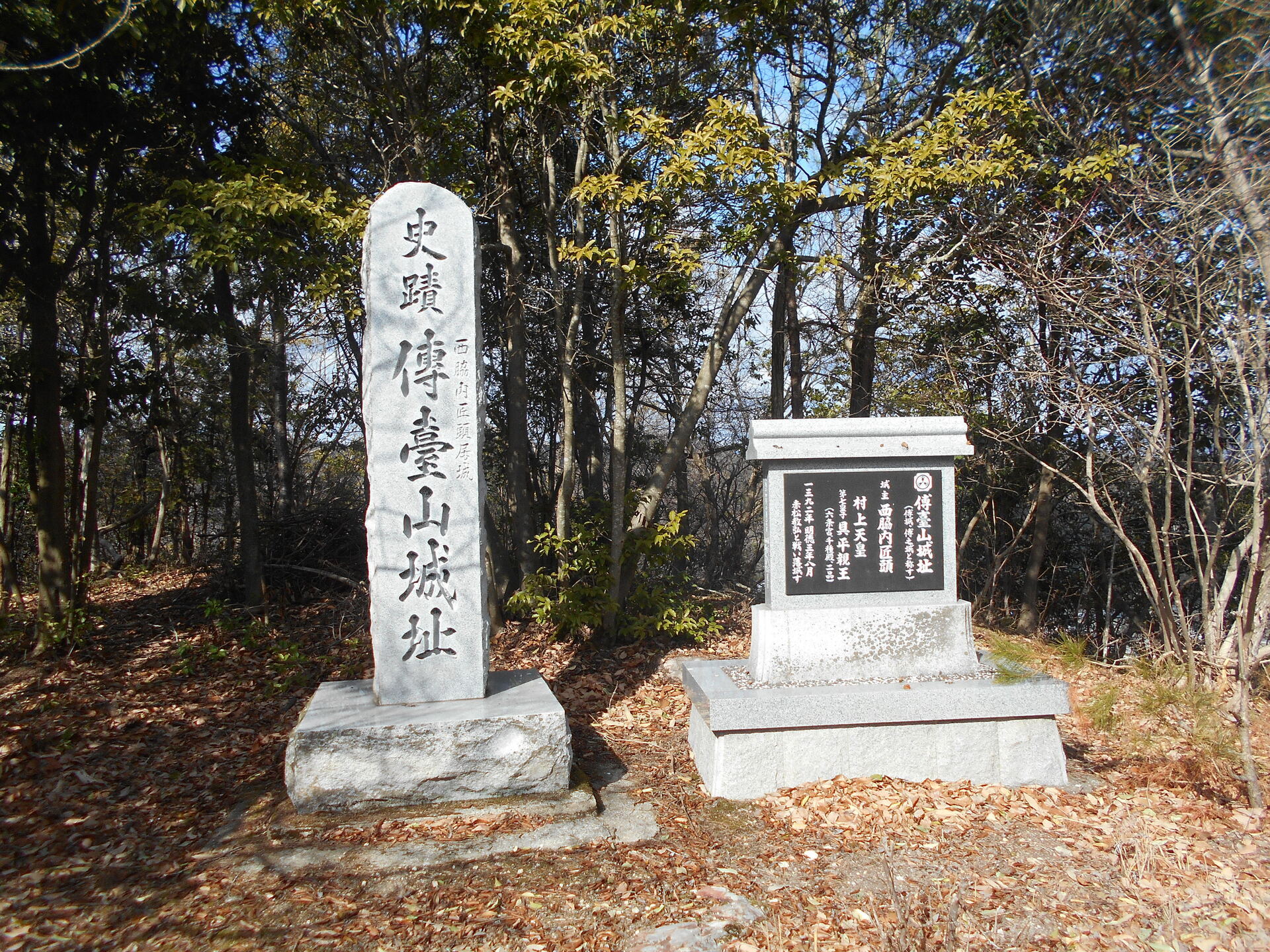 1月28日伝台山から碇岩北山: つぐ丸日記