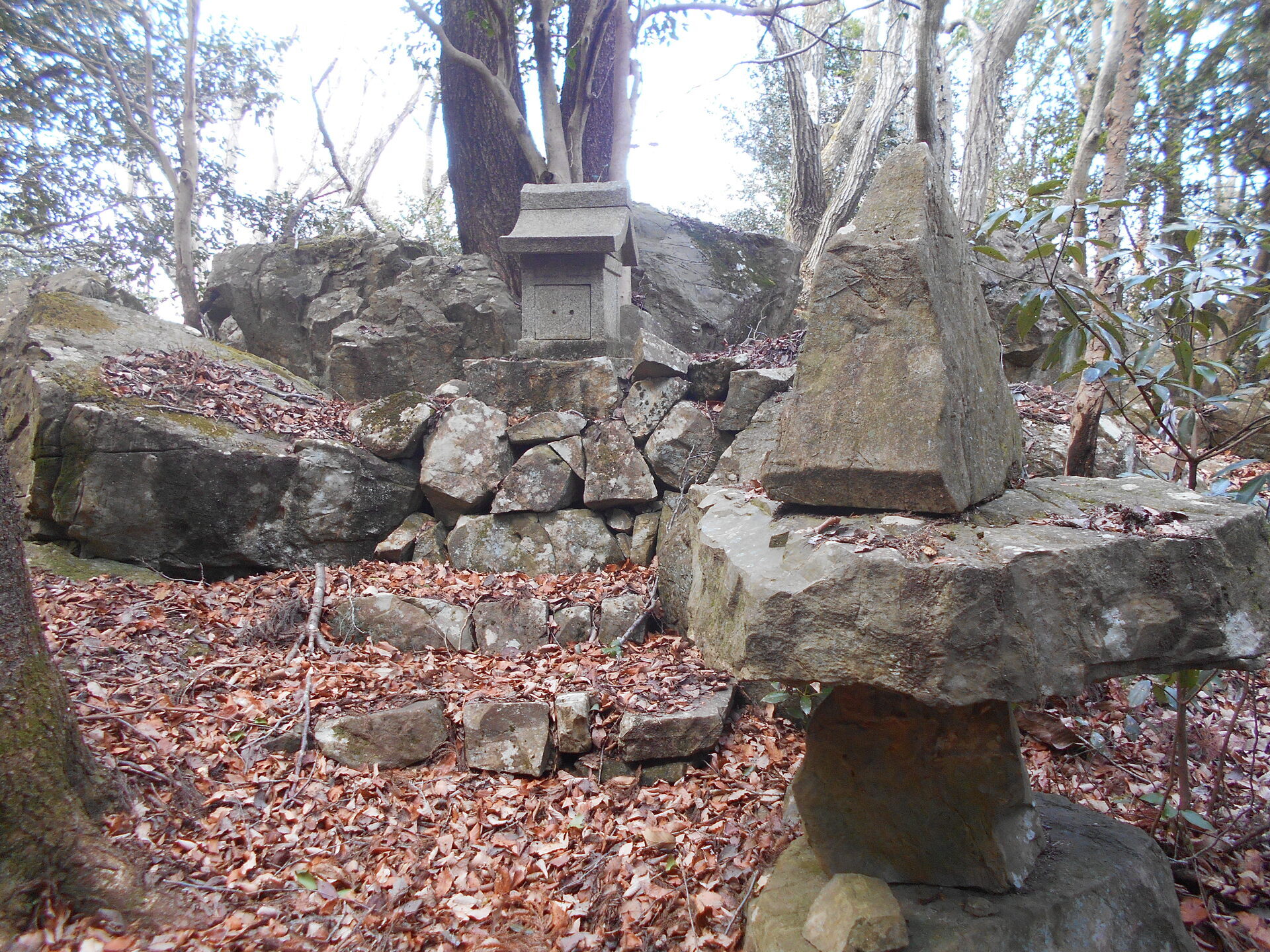1月31日たつの市最高峰、大倉山: つぐ丸日記