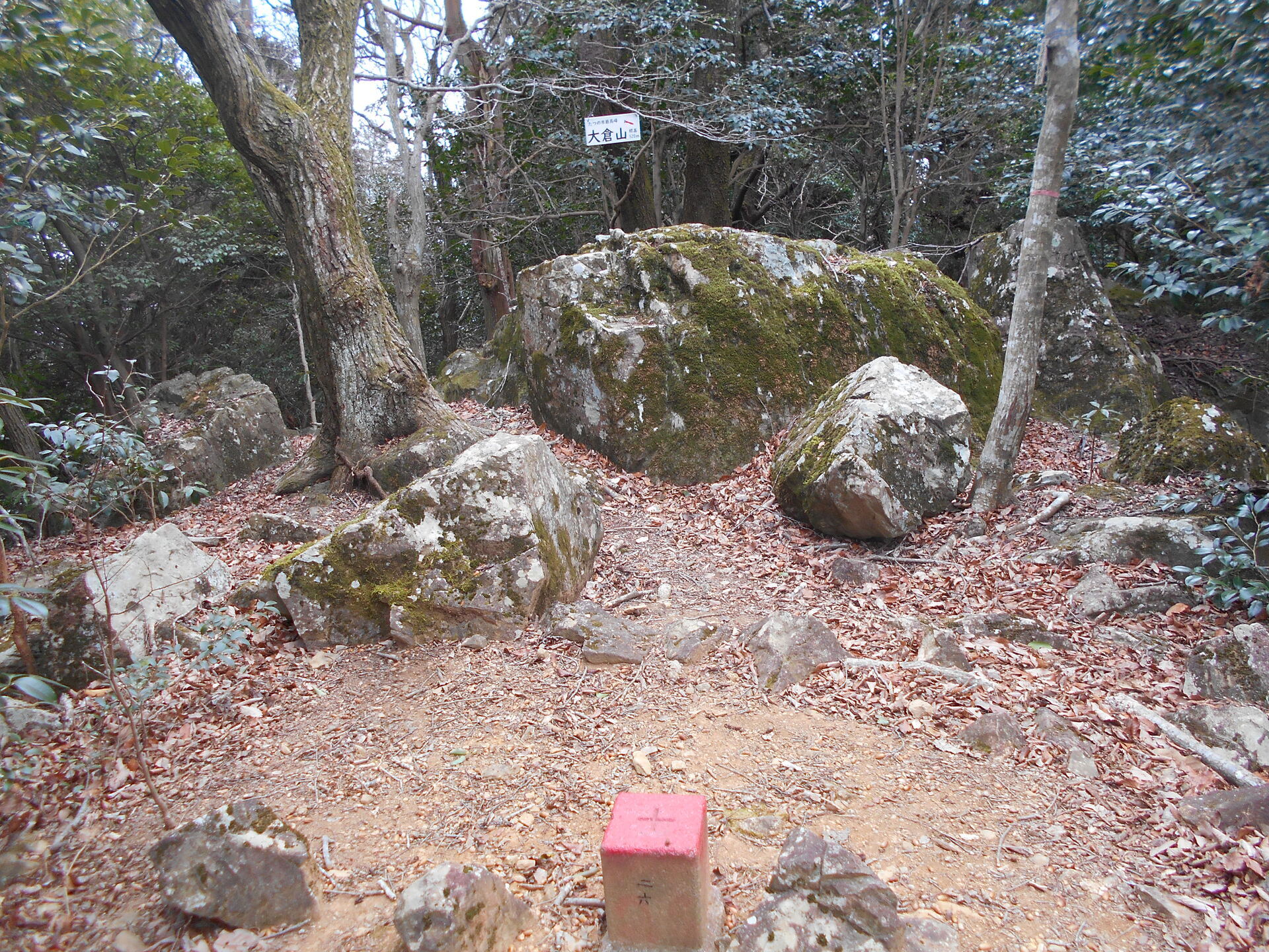 1月31日たつの市最高峰、大倉山: つぐ丸日記